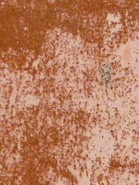 rough red rust texture 0028 - Texturelib